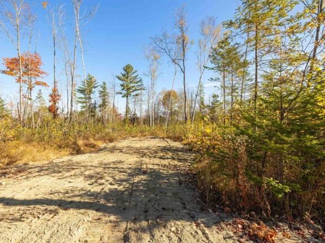 Hartco Ave Lot,lancaster, Plot For Sale