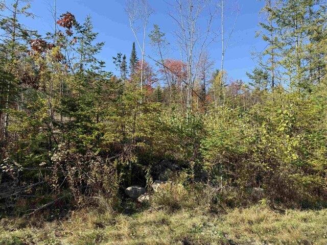 Hartco Ave Lot,lancaster, Plot For Sale