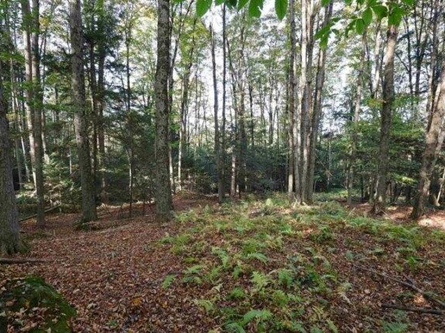 Hartford VT 05001 104446102