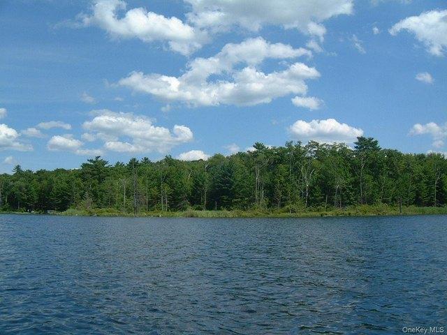 Hartung Rd, Highland Lake, NY 12743
