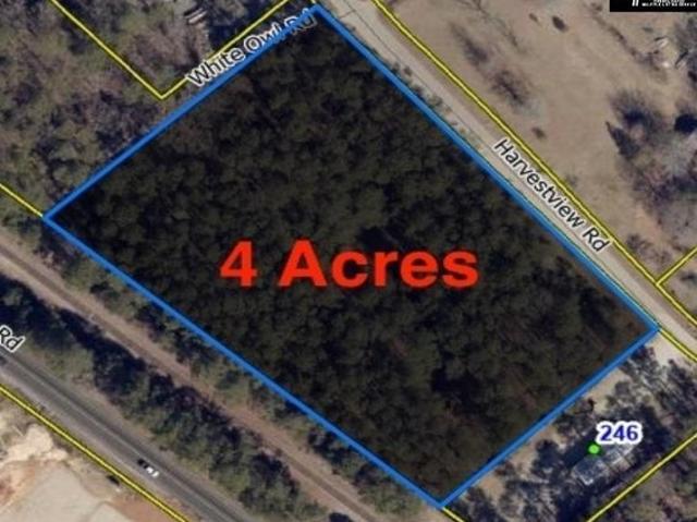 Harvest Vw, Chapin, SC 29036