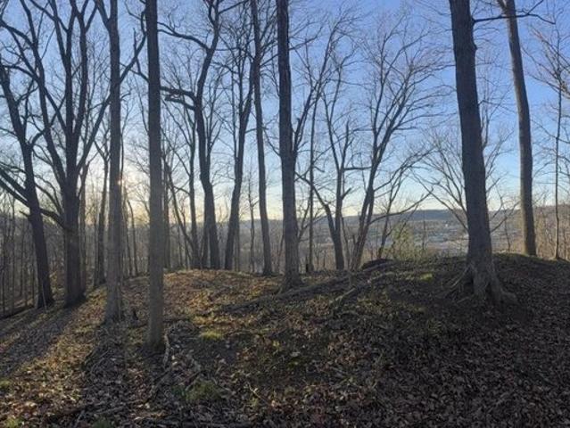 Harvey Rd and Kessler Rd, Huntington, WV 25701