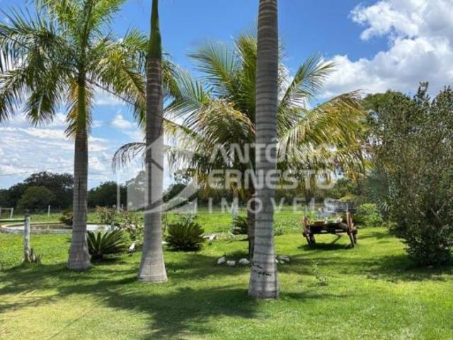 Haras 15 hectares Curvelo/MG