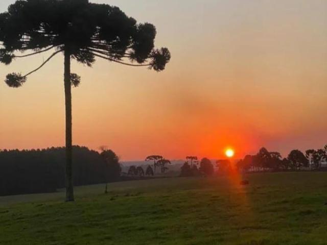 Haras 1.068.000 m² São José dos Pinhais