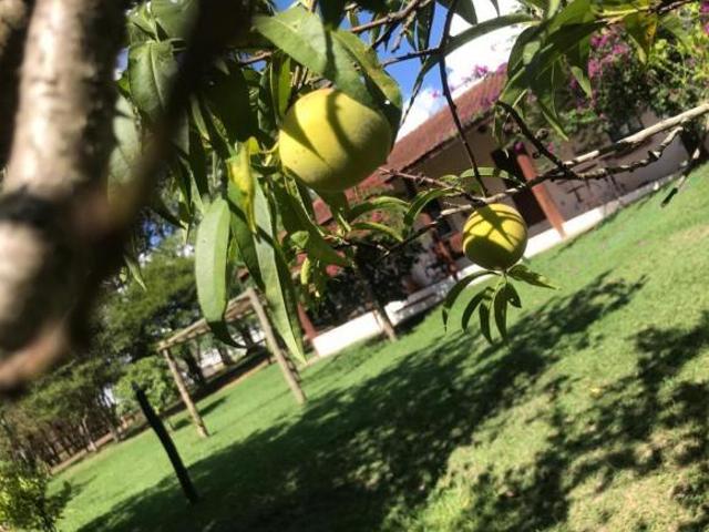 Haras 207.000 m² Cerquilho