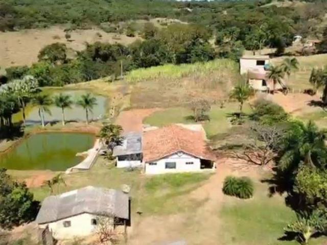 HARAS 15 HECT, LUZIÂNIA GO Estrutura Completa para Criação de Cavalos, Lazer e Negócios