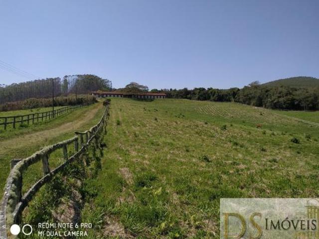 Haras, Vila Elvio, Piedade, SP