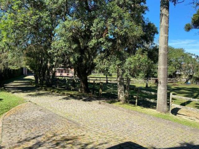 Haras à venda em Piraquara
