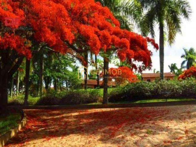Haras à venda em Santo Antônio de Posse SP