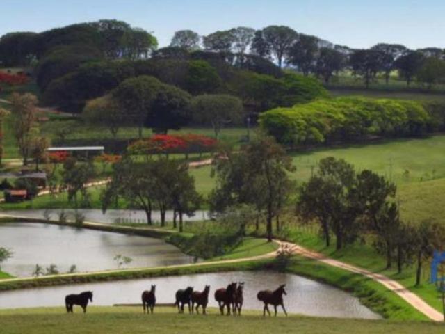 Haras à Venda, 108 alqueires por R$ 65.000.000 Cód. ch2757