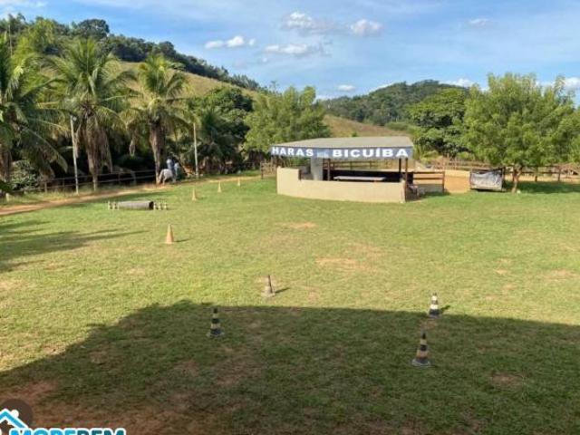 Haras, Bagre, Belo Oriente, MG