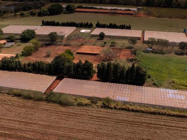 HARAS COM 3 DORMITÓRIOS À VENDA, 36300 M² POR R$ 2.300.000 QUADRA/SP