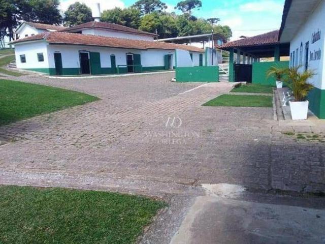 Haras com 3 dormitórios à venda, 72600 m² por R$ 5.500.000,00 Colônia Murici São José dos Pinhai