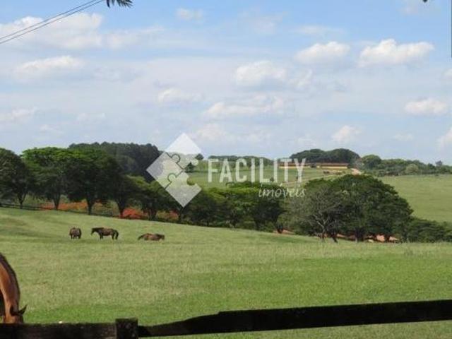 HARAS DE ALTO PADRÃO A VENDA NA REGIÃO DE CAMPINAS SP