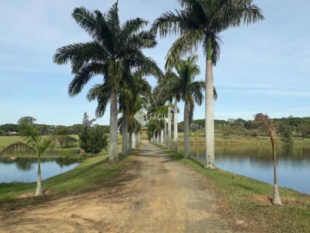 Haras de alto padrão com porteira fechada em Cesário Lange SP