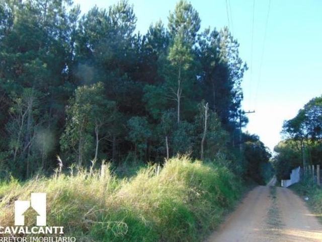 Sítio para venda em Campina do Taquaral, São José dos Pinhai