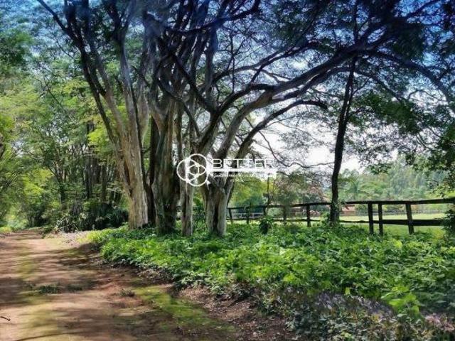 Haras e Área Rural Padrão para venda em Área Rural de Jaguar