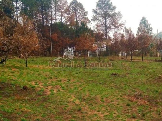Haras e Área Rural Padrão
