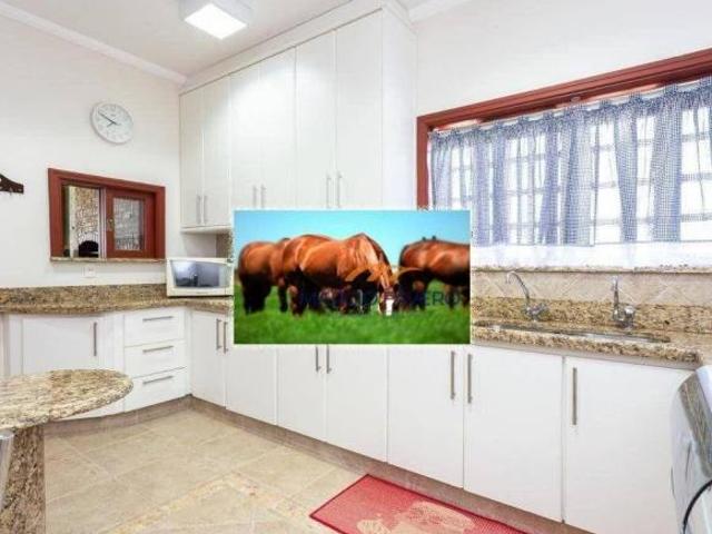 Haras e Área Rural Padrão