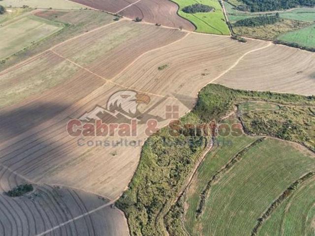 Haras e Área Rural Padrão