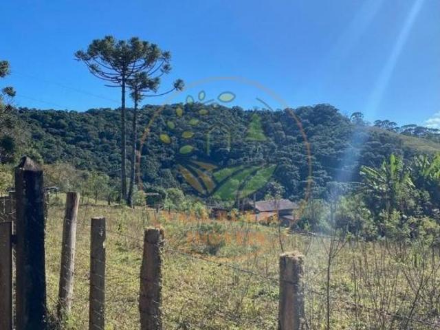 Haras e Área Rural Padrão