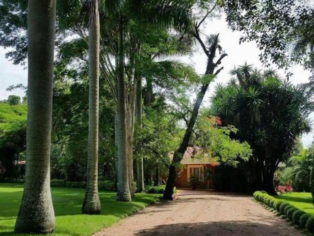 Haras e Área Rural Padrão