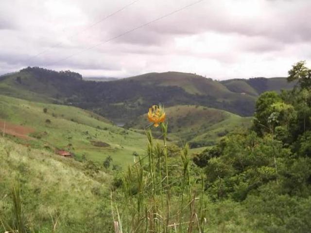 Haras e Área Rural Padrão
