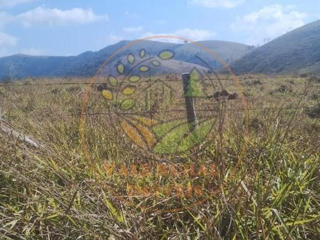 Haras e Área Rural Padrão