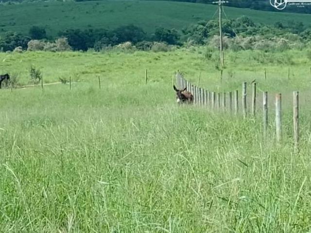 Haras e Área Rural Padrão