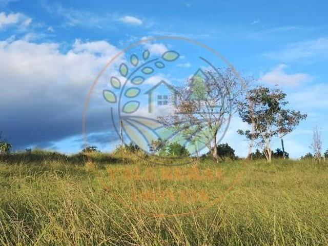 Haras e Área Rural Padrão