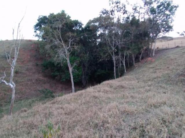 Haras e Área Rural Padrão