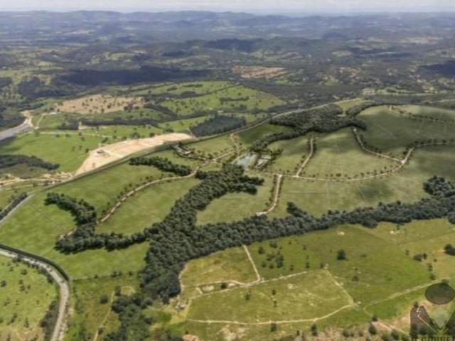 Haras e Área Rural Padrão