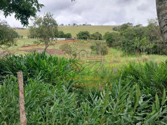 Haras e Área Rural Padrão