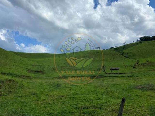 Haras e Área Rural Padrão