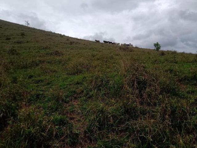 Haras e Área Rural Padrão
