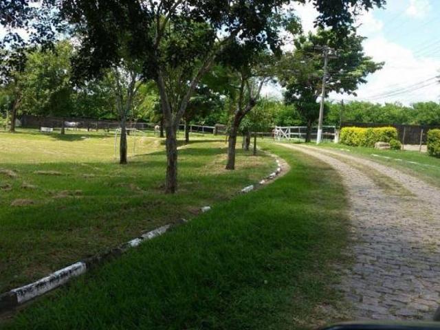 Haras e Área Rural Padrão