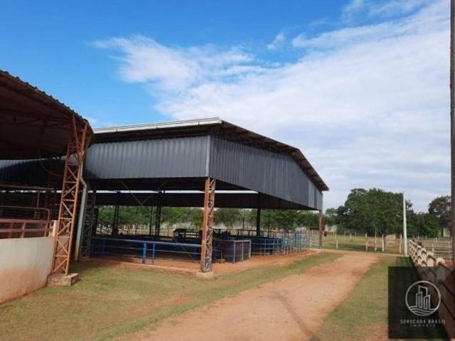 Haras e Área Rural Padrão