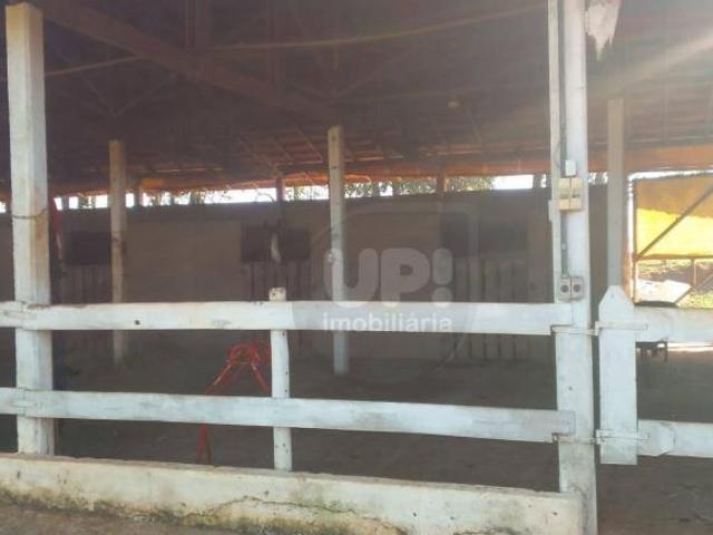 Haras e Área Rural Padrão