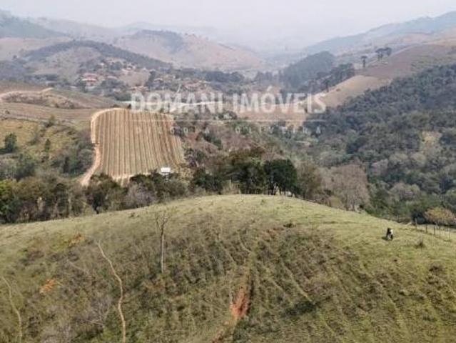 Haras e Área Rural Padrão