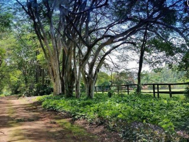 Haras e Área Rural Padrão