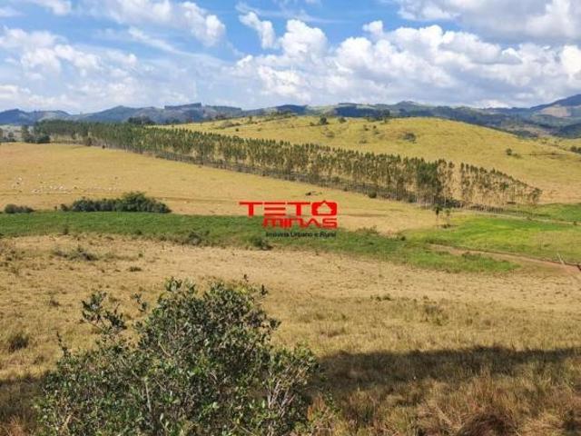 Haras e Área Rural Padrão