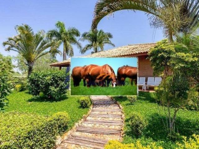 Haras e Área Rural Padrão