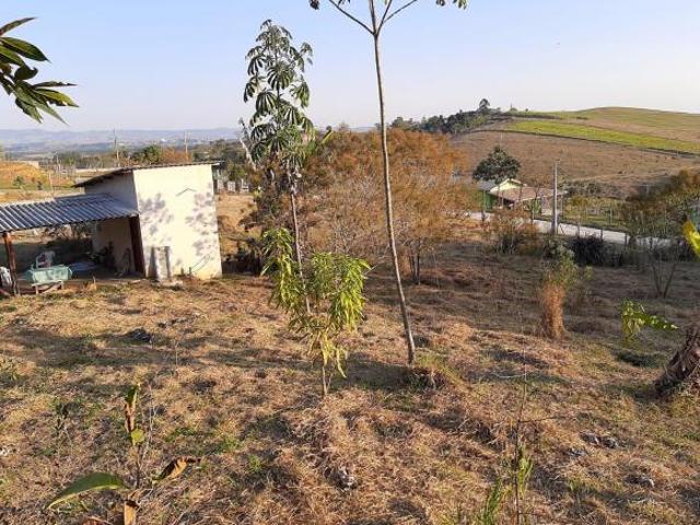 Haras e Área Rural Padrão