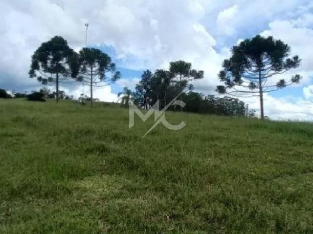 Haras e Área Rural Padrão