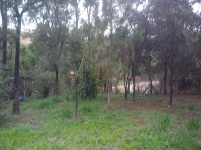 Haras e Área Rural Padrão