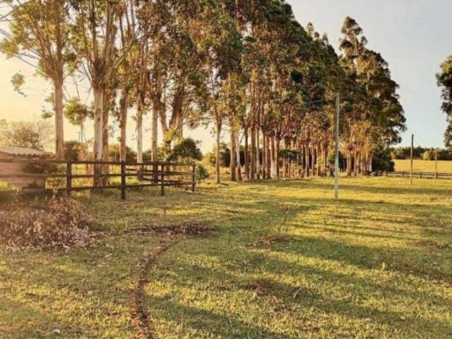 Haras e Área Rural Padrão