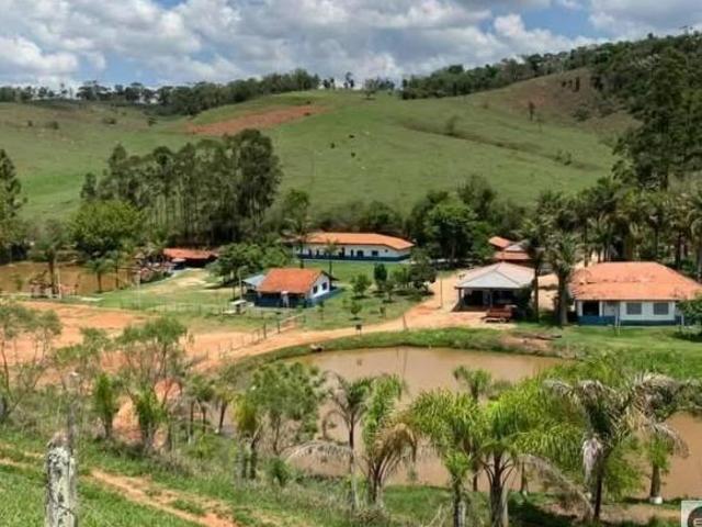 Haras em Lagoinha