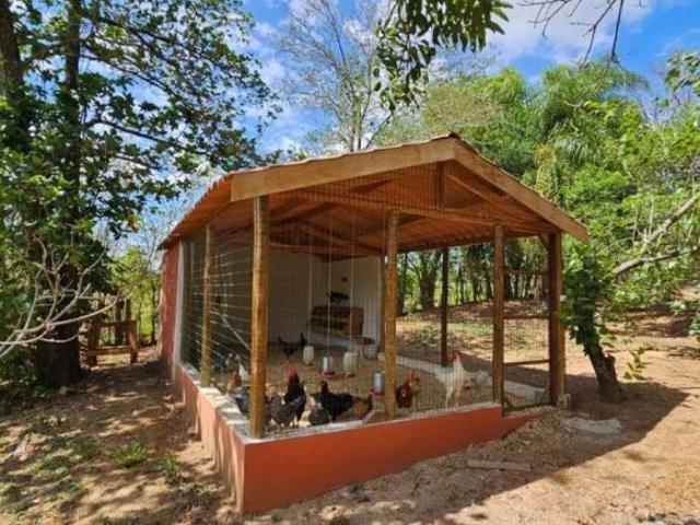 Haras em Porto Feliz