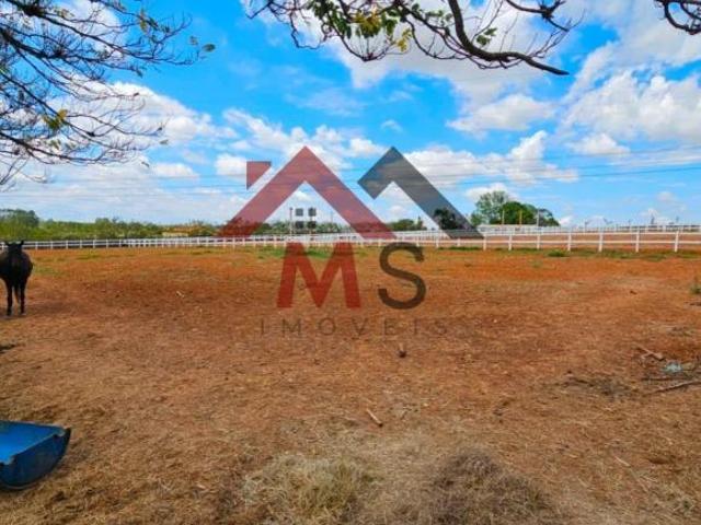 Haras km 99 Rod. Castelo Branco