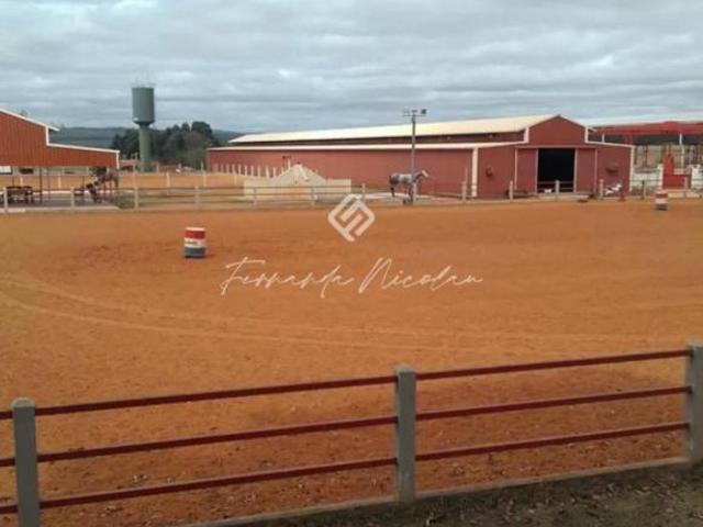 Haras na região de Jundiaí SP